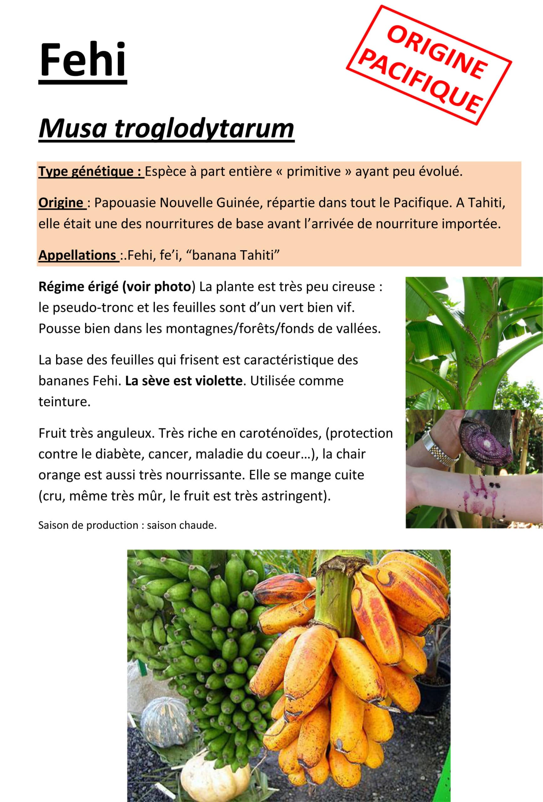 Variétés de vitroplants - AURAPACIFICA